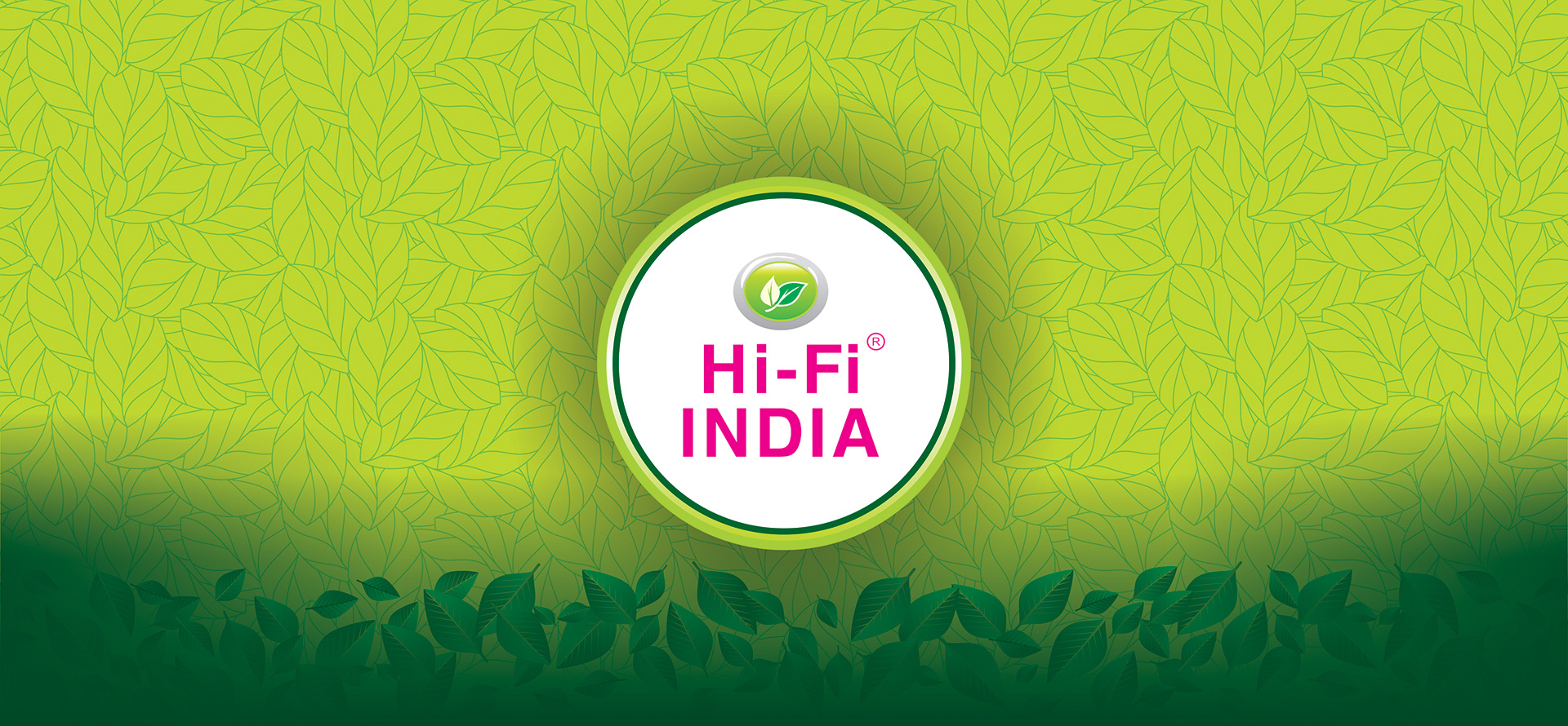 Company – Hi-Fi India